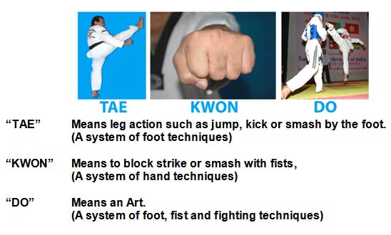 Philosophical Principles Of Taekwondo